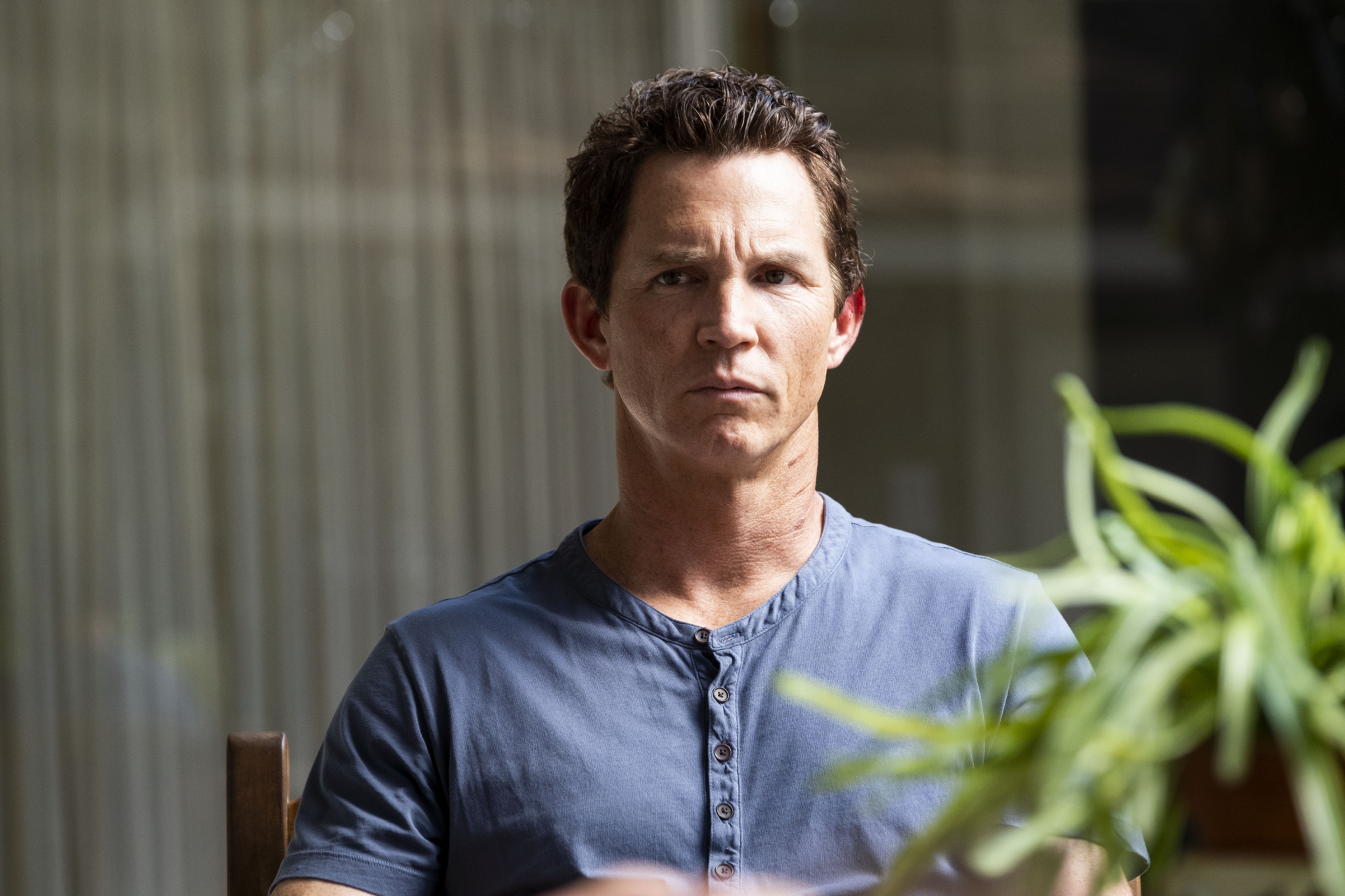 Animal Kingdom | CTV Drama Channel | The Lede