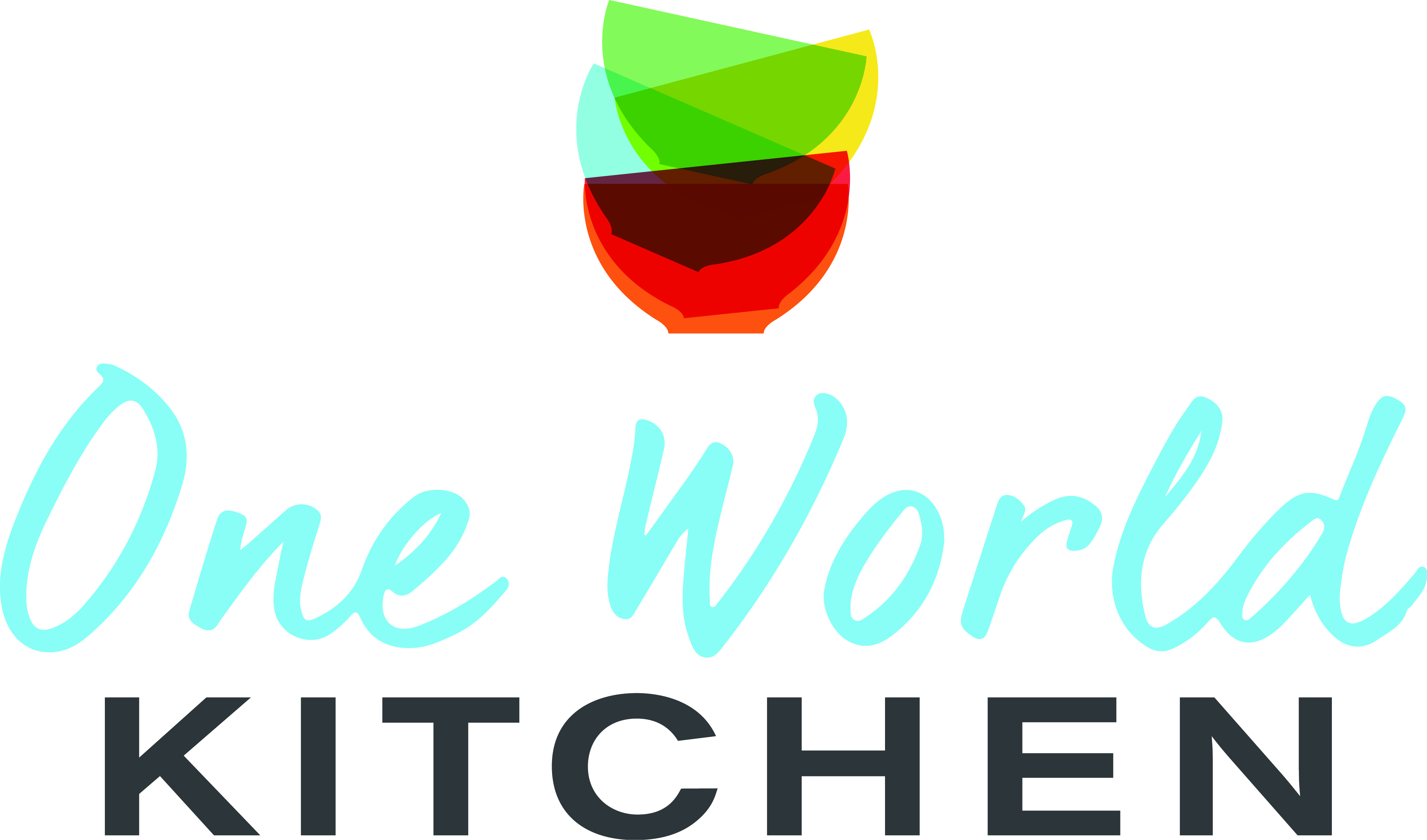 One World Kitchen | CTV Life Channel | The Lede