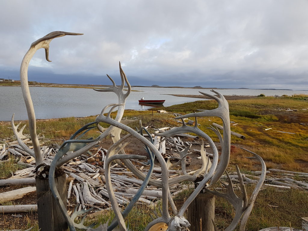 W5 Explores the Widespread Effects of Climate Change in the Canadian ...