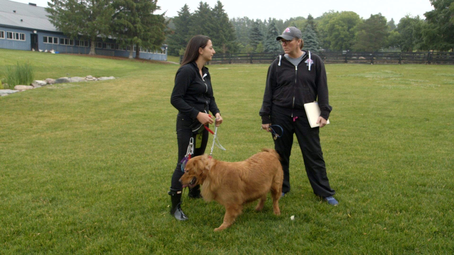 Dog Tales Rescue | CTV Life Channel | The Lede