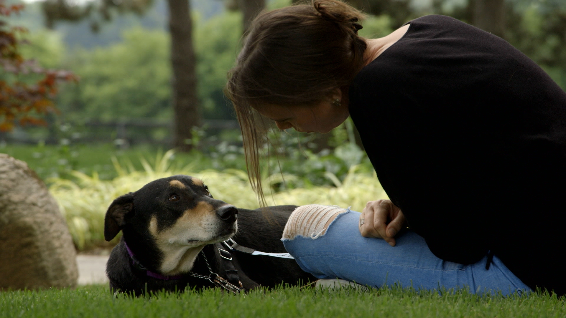 Dog Tales Rescue | CTV Life Channel | The Lede