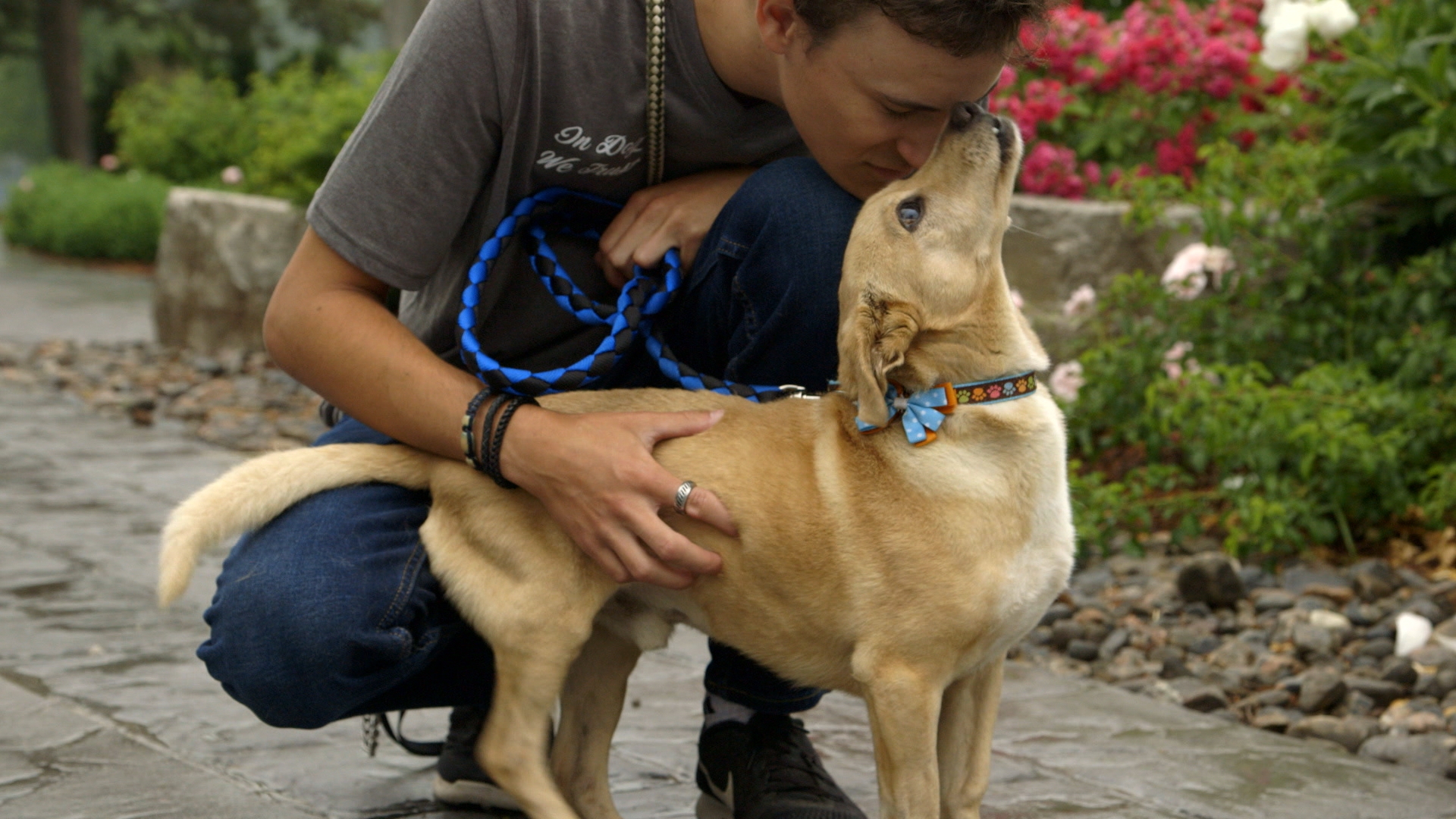Dog Tales Rescue | CTV Life Channel | The Lede