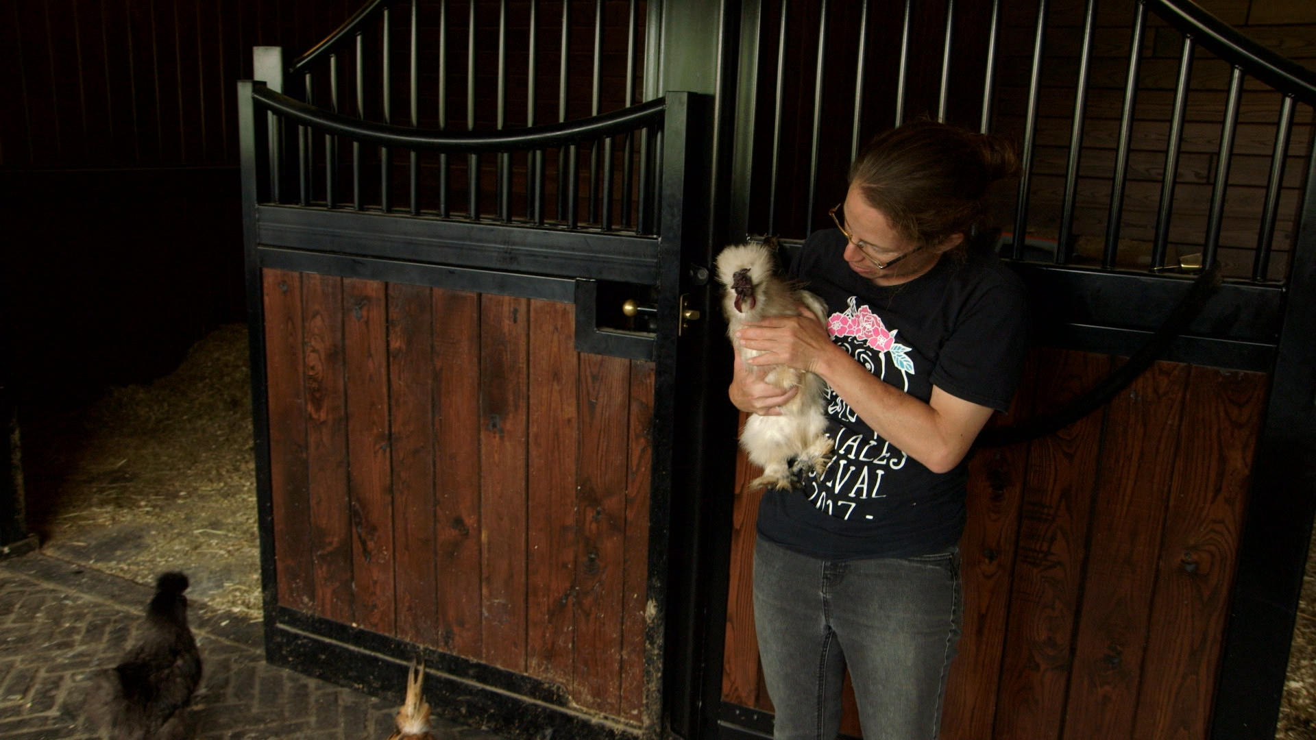 Dog Tales Rescue | CTV Life Channel | The Lede
