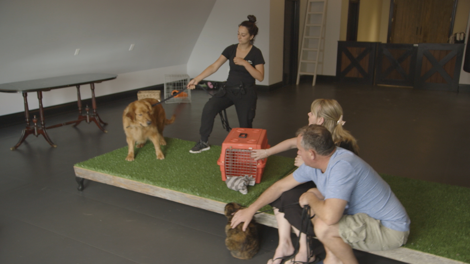 Dog Tales Rescue | CTV Life Channel | The Lede
