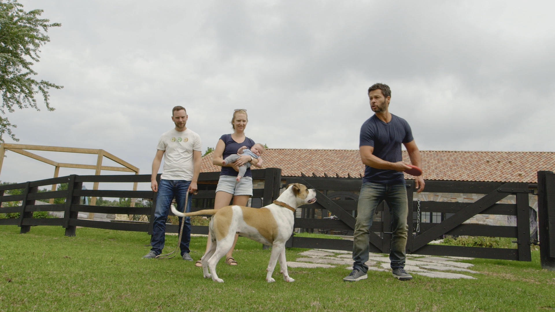 Dog Tales Rescue | CTV Life Channel | The Lede
