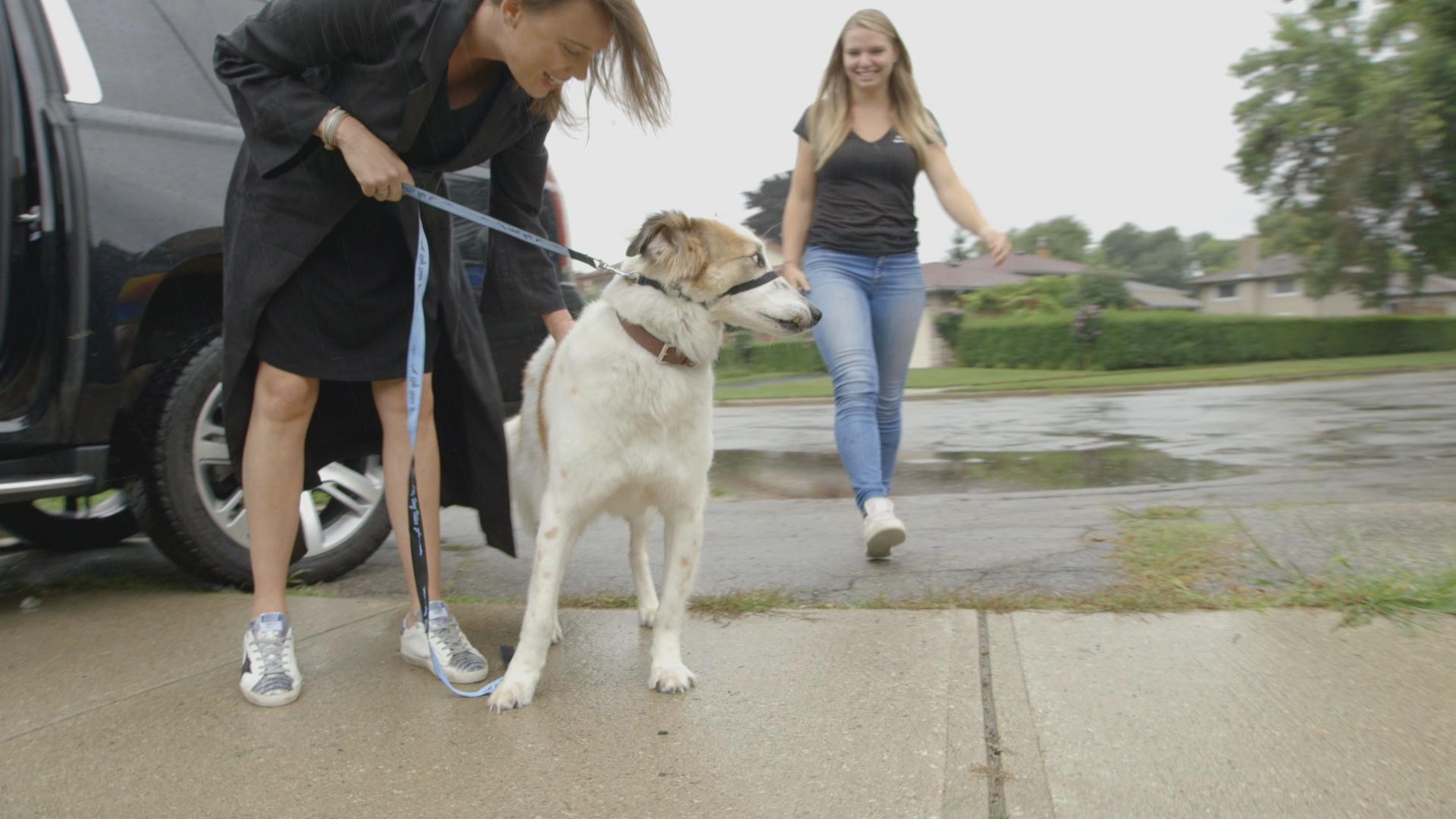 Dog Tales Rescue | CTV Life Channel | The Lede