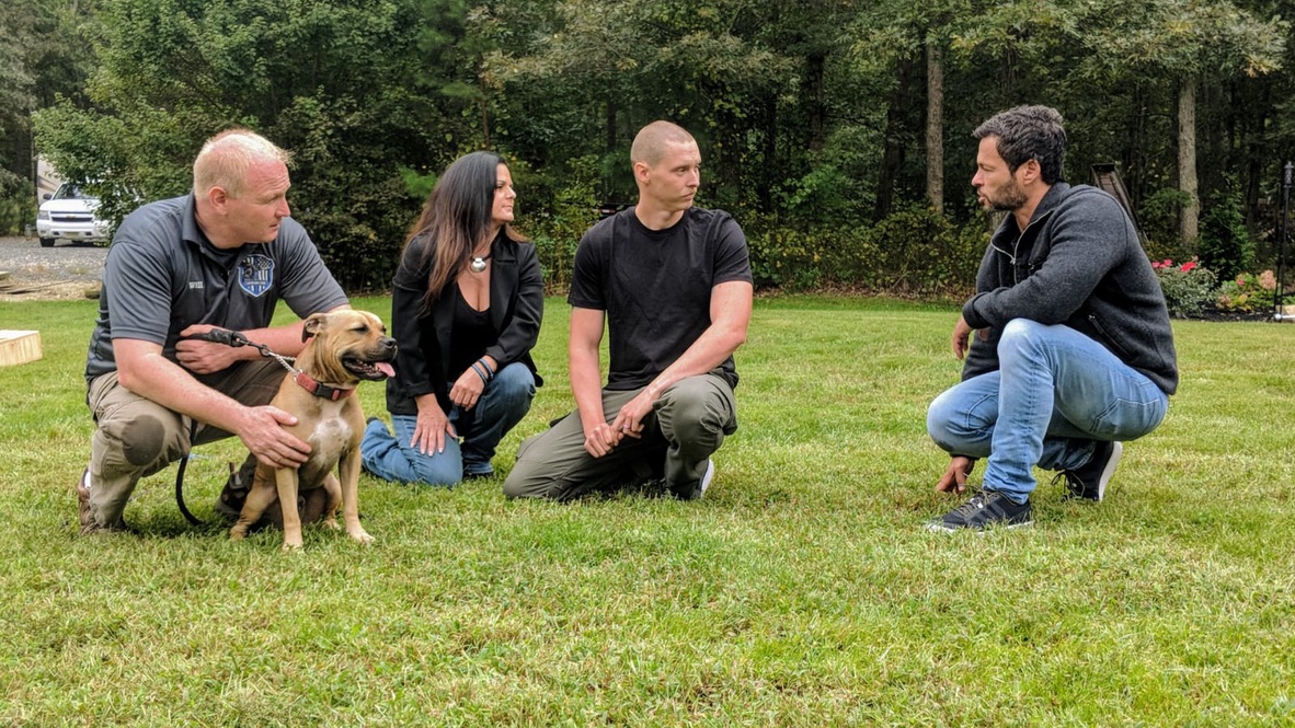 Dog Tales Rescue | CTV Life Channel | The Lede