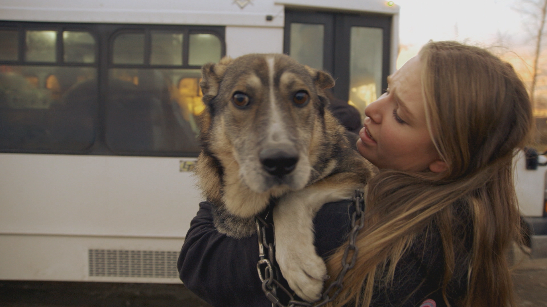 Dog Tales Rescue | CTV Life Channel | The Lede