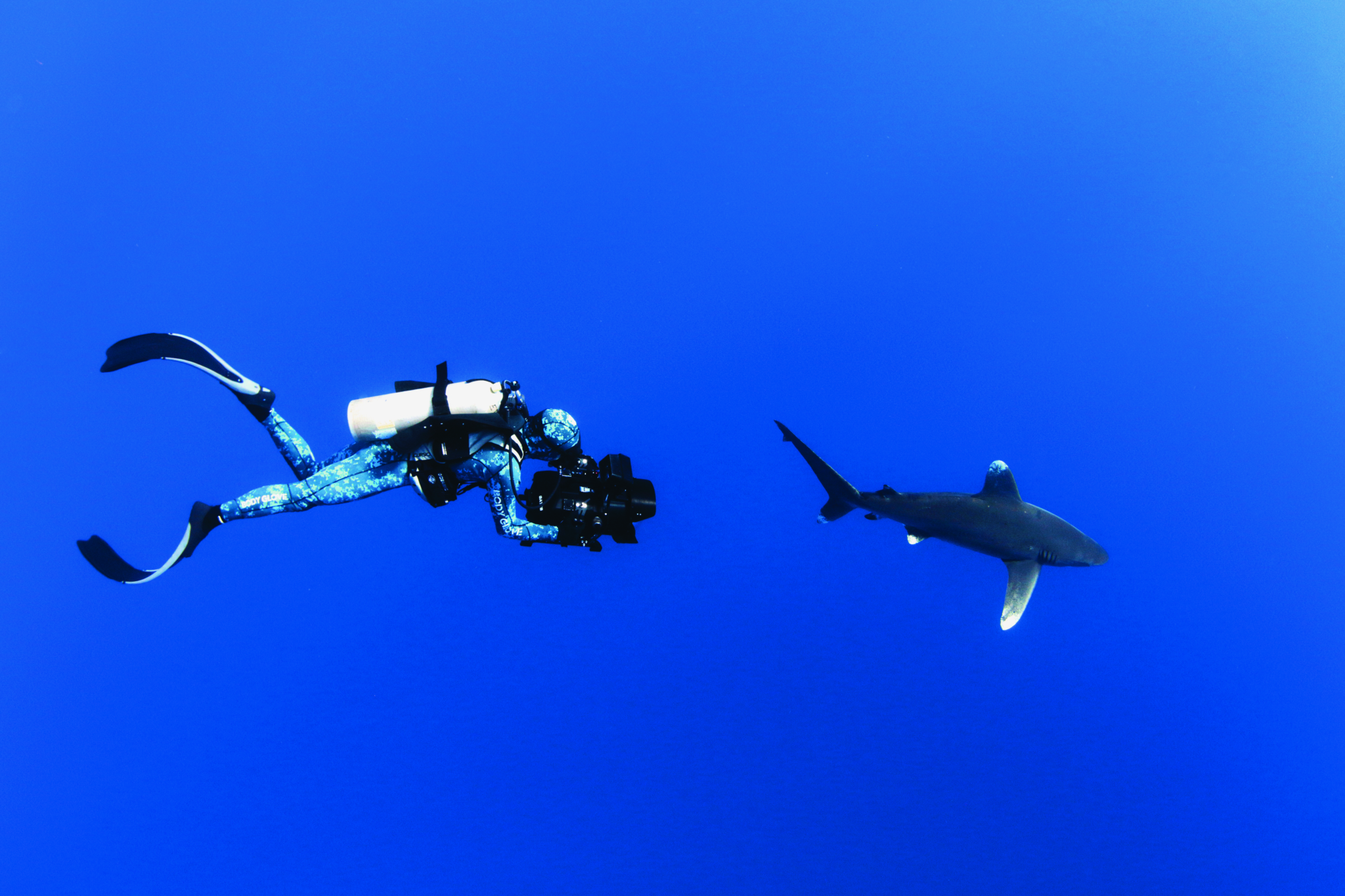 Sharkwater Extinction | Crave | The Lede