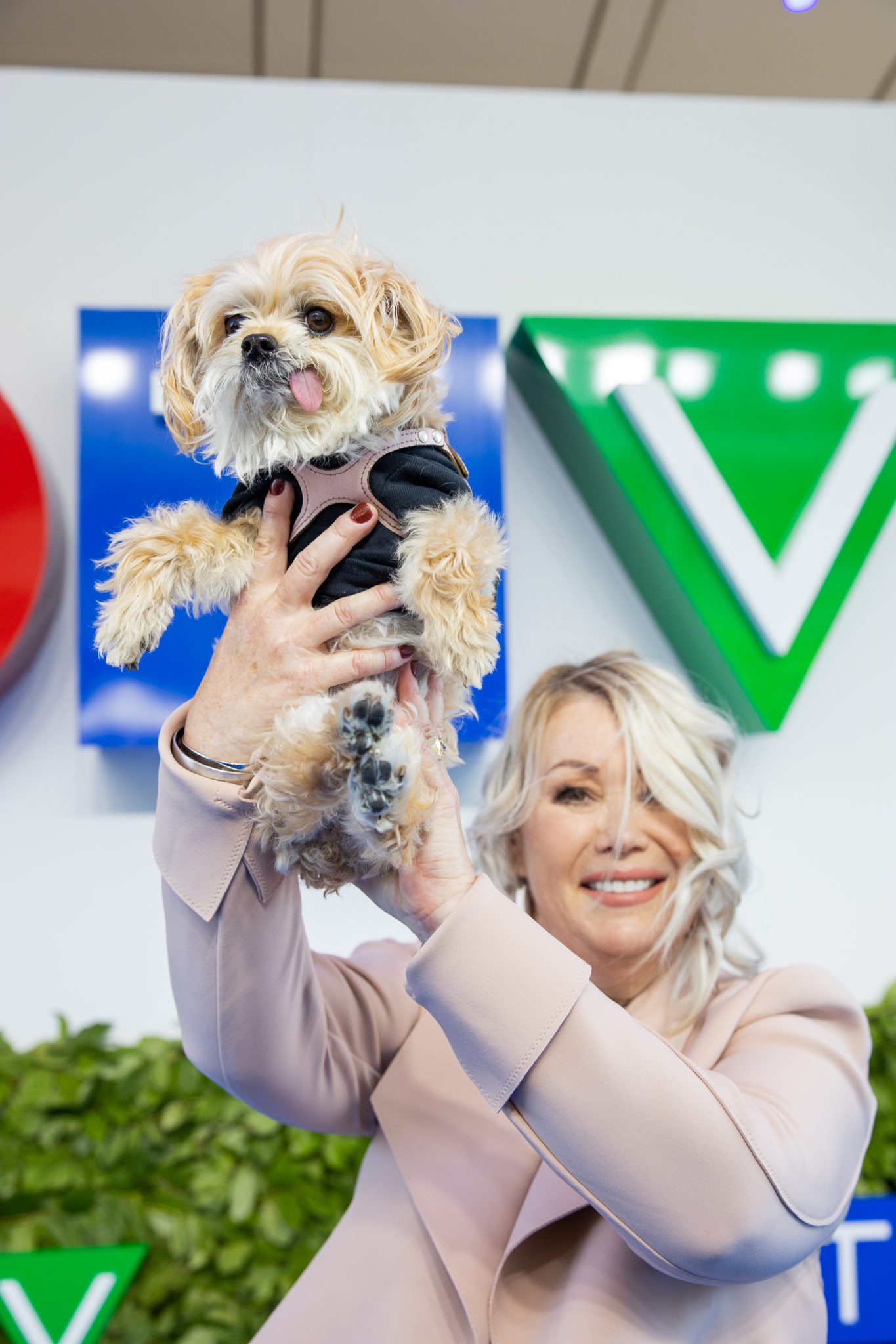 CTV Upfront 2019 | Bell Media