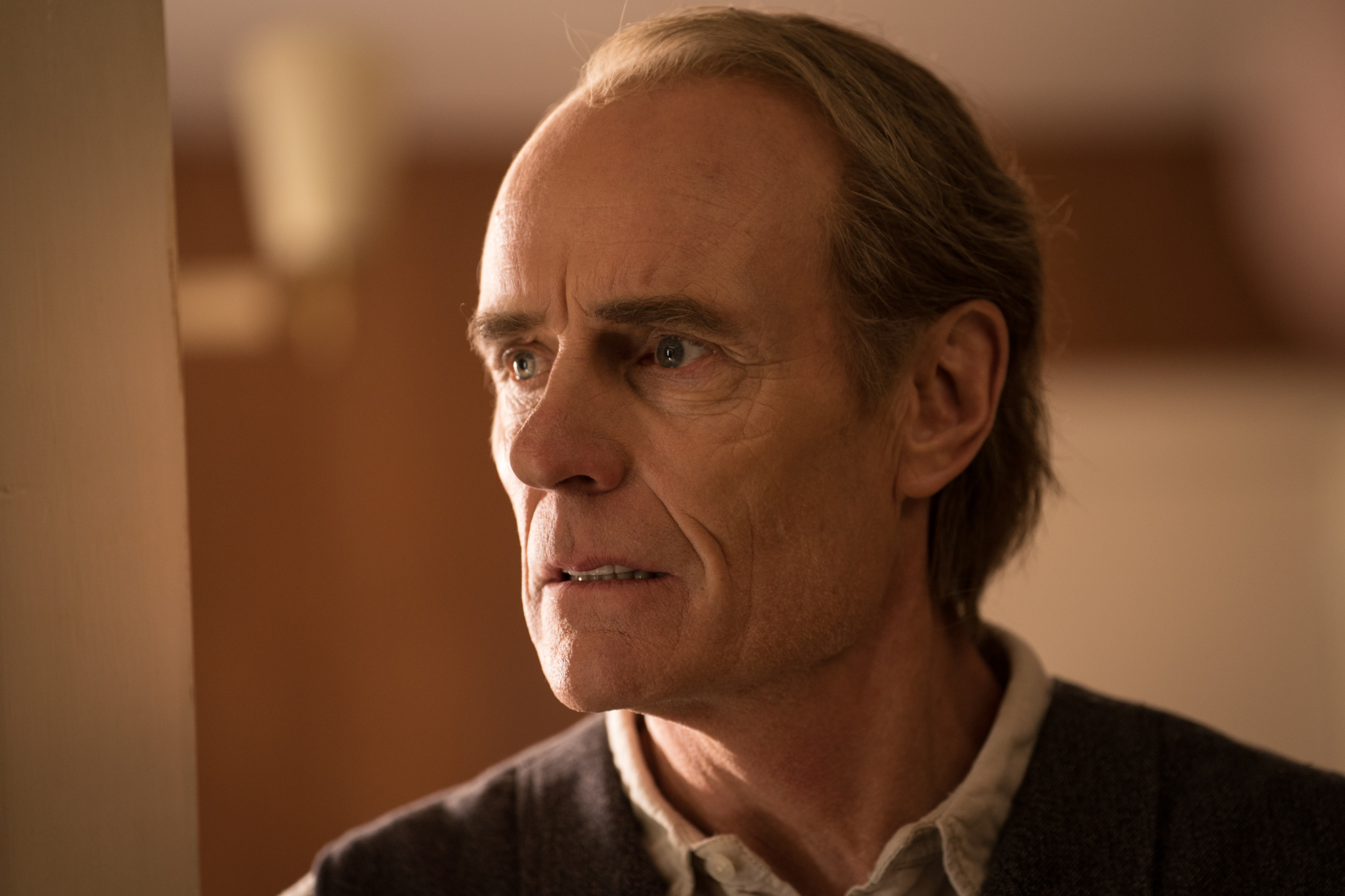 The Truth About The Harry Quebert Affair | CTV Drama Channel | The Lede