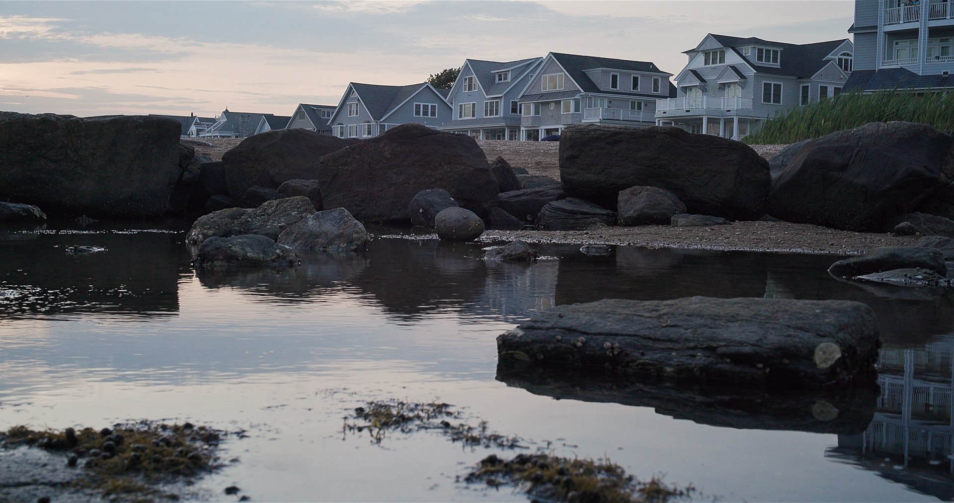 Murder on Middle Beach | Crave | The Lede