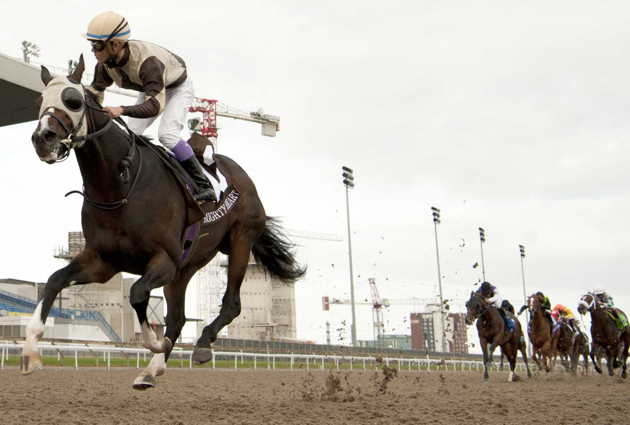 Woodbine Entertainment and TSN Deliver More Weekly Horse Racing ...