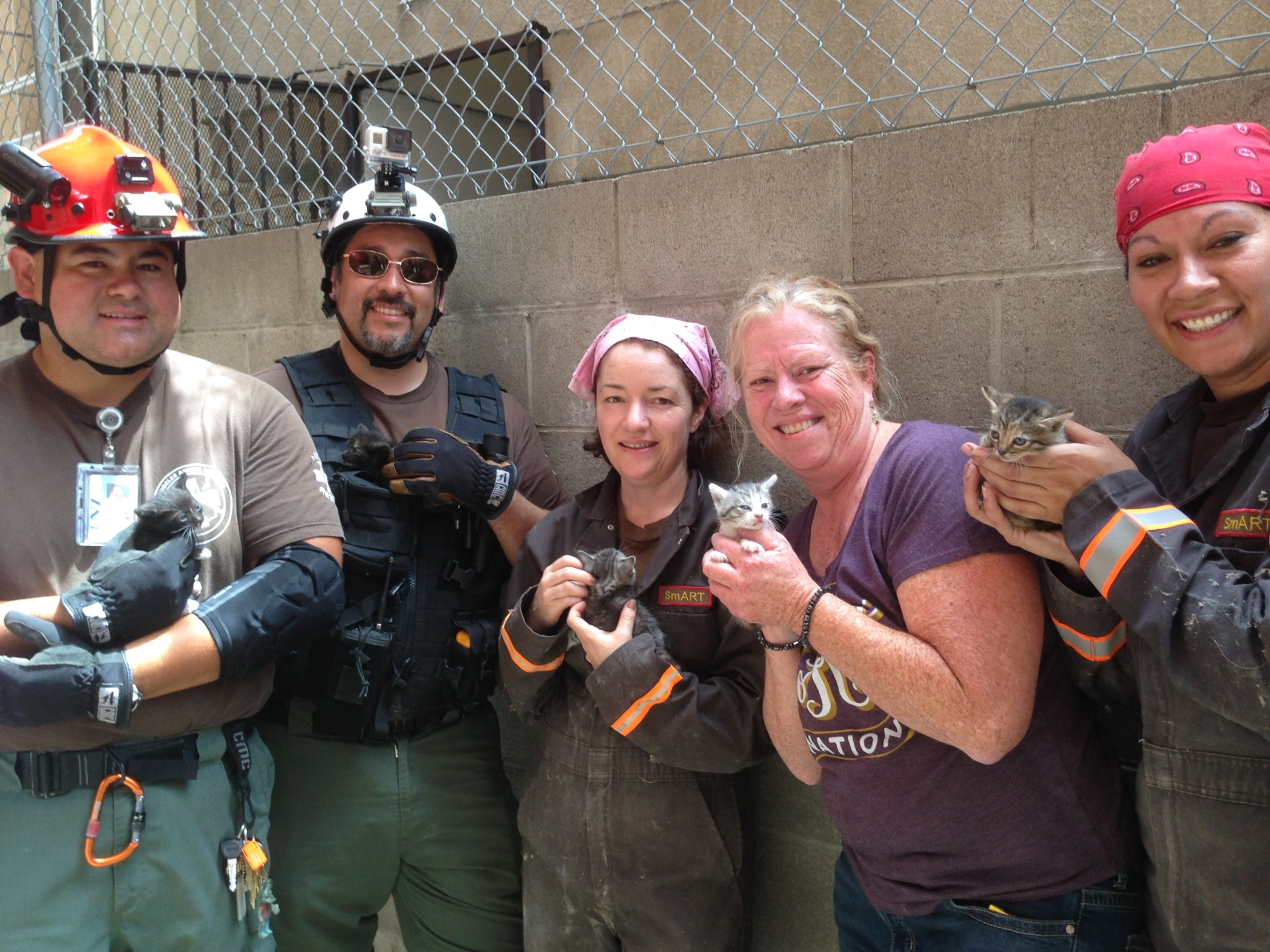 Animal 911 - Bell Media