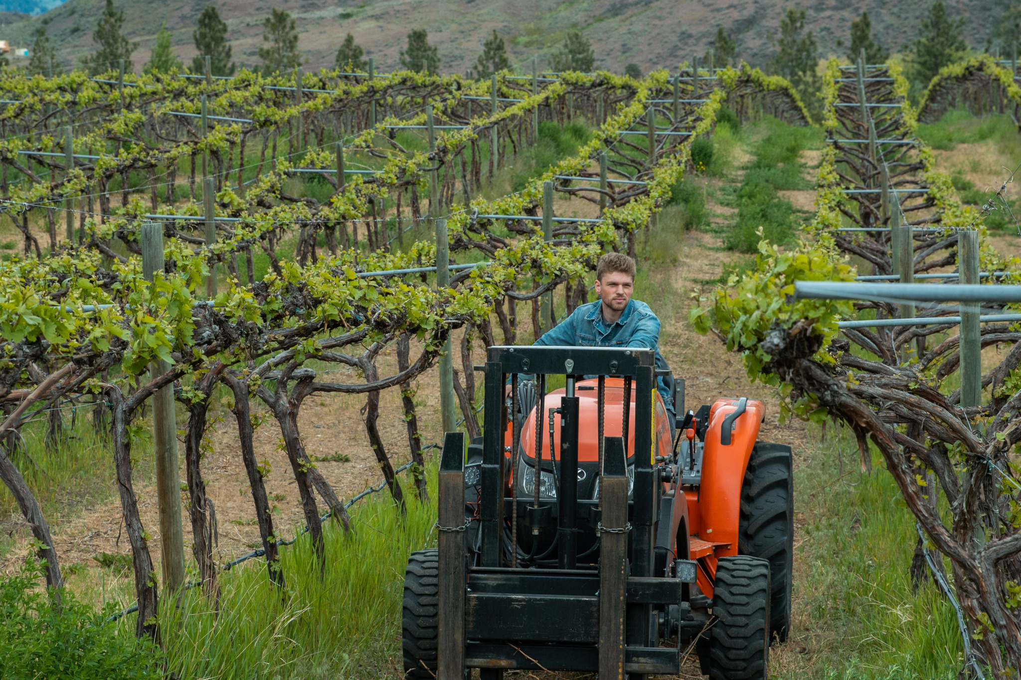 Farming for Love | CTV | The Lede