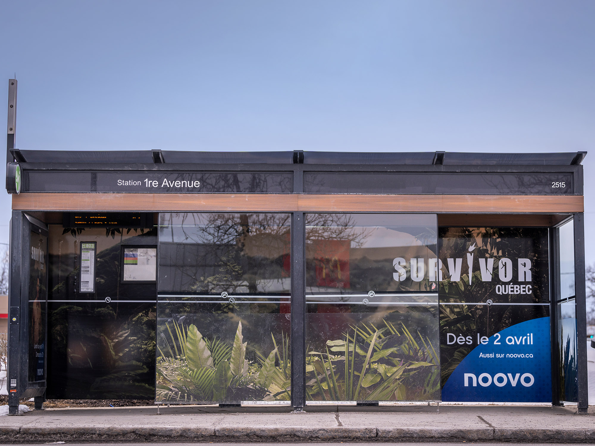 Survivor - Bell Media