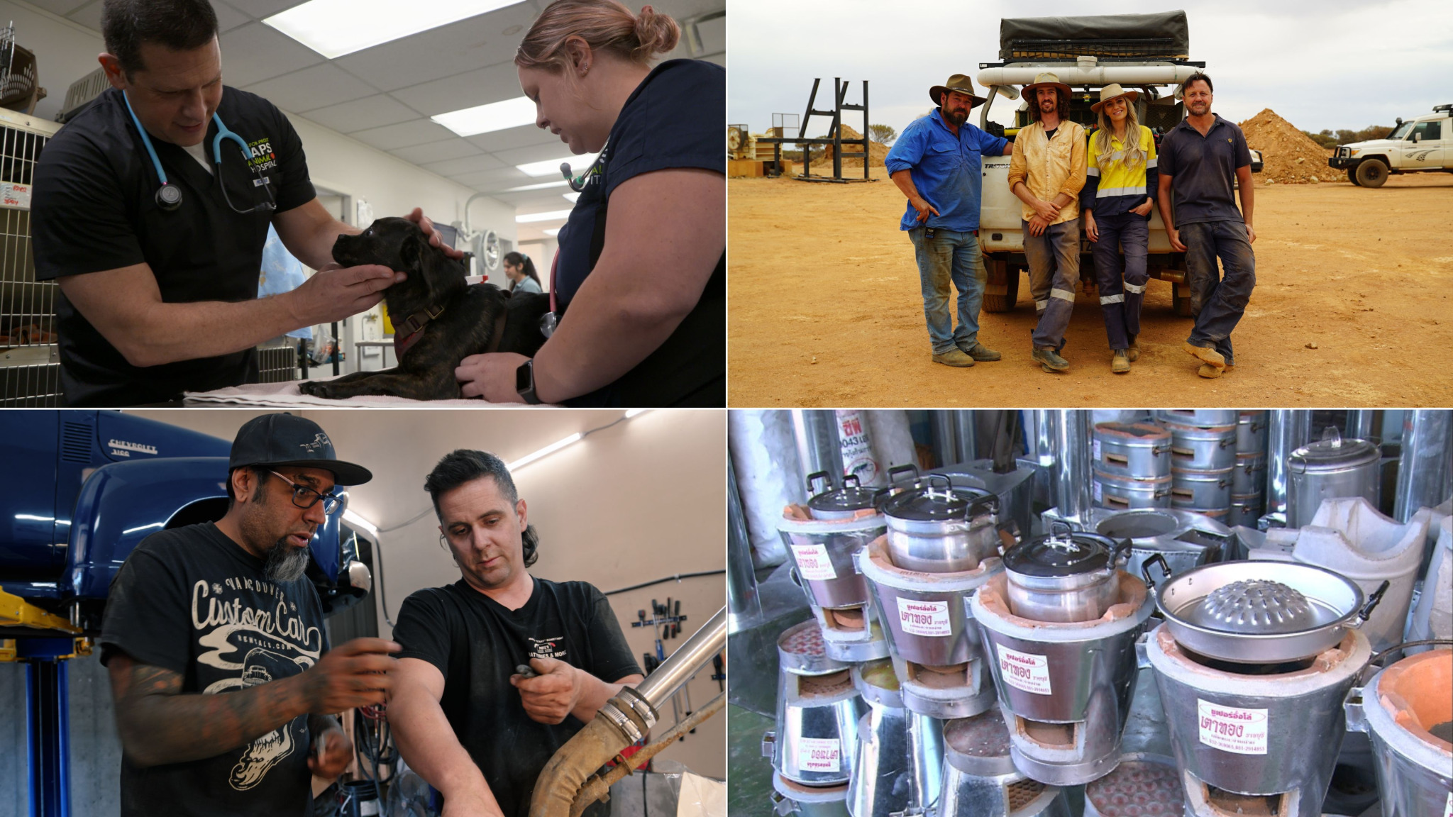 Bell Media’s Animal Planet, Discovery Science, and Discovery Velocity ...