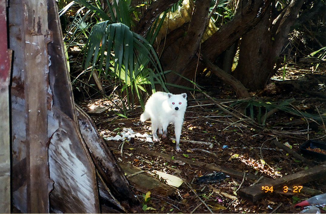 MONSTER WEEK, Animal Planet’s Most-Anticipated Television Event Returns ...